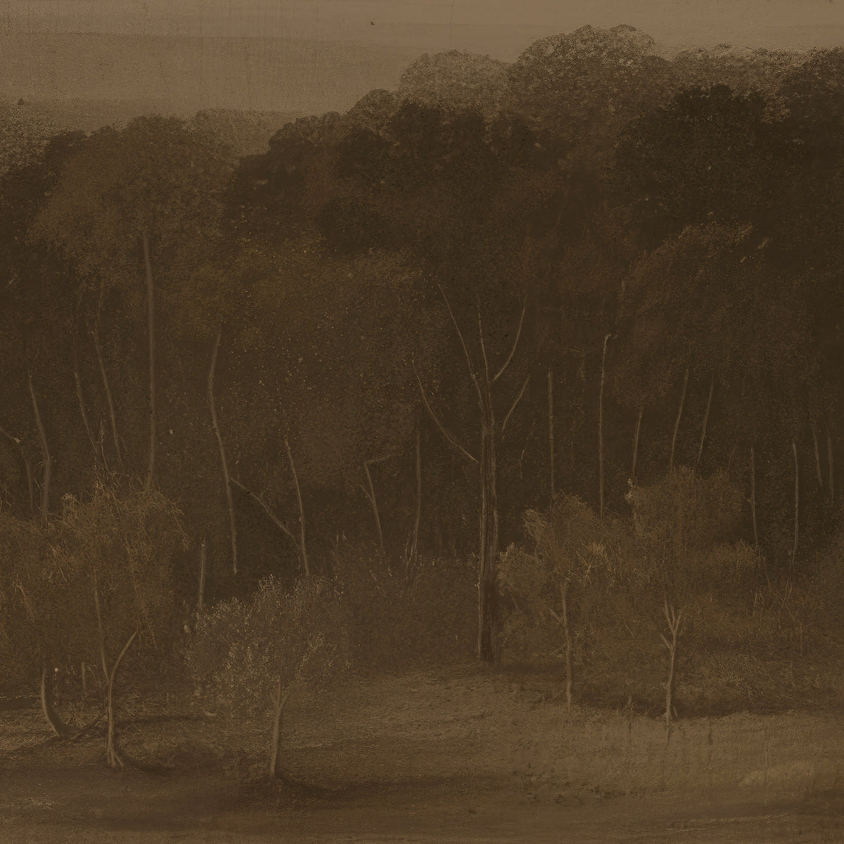 A Hill Far Away – Madelynn Ave