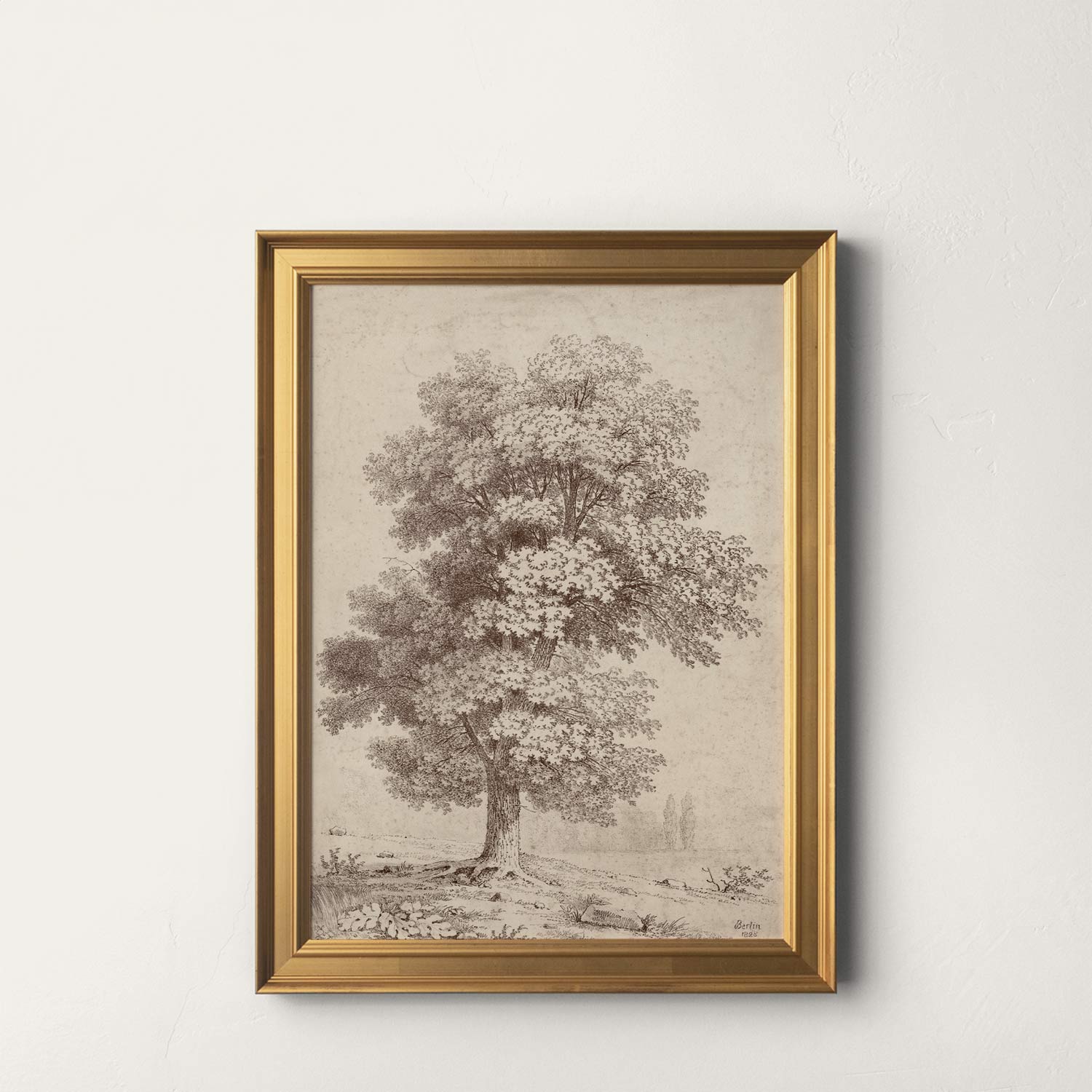 English Oak II – Madelynn Ave